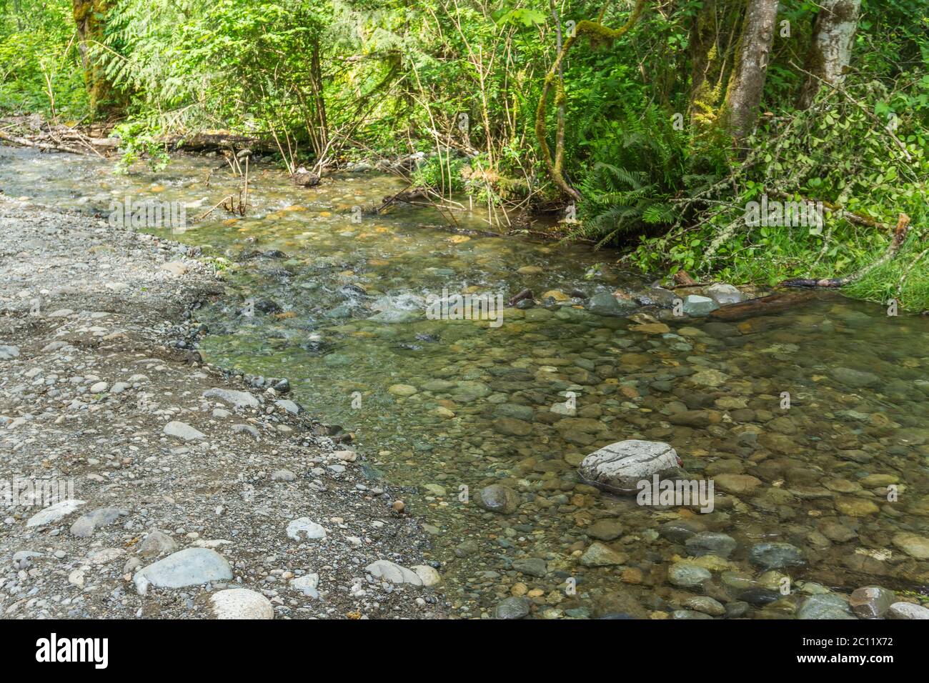 A view of a clear crrek with rocks on the bottom in the Pacific ...