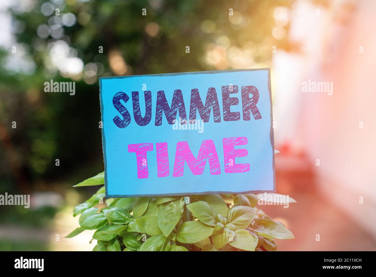 Text sign showing Summer Time. Business photo text the hottest season ...