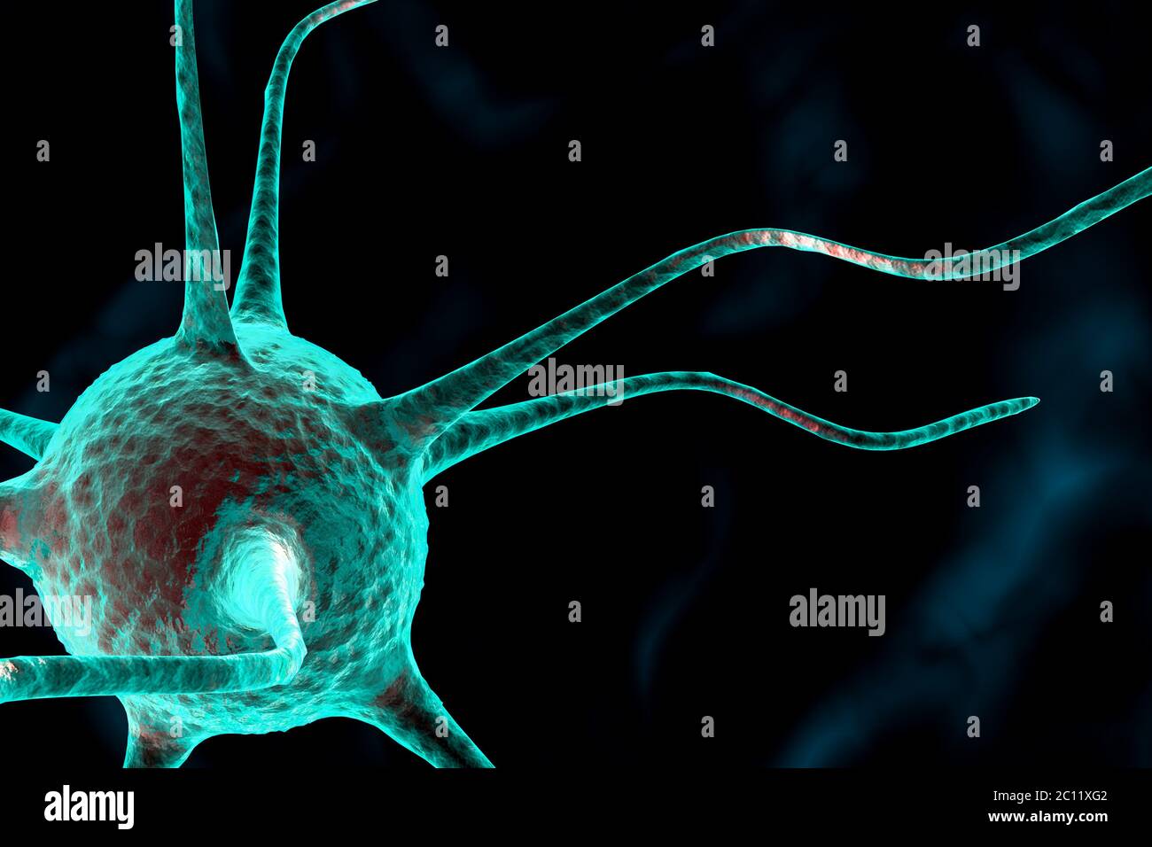 3d nerve cell Stock Photo - Alamy