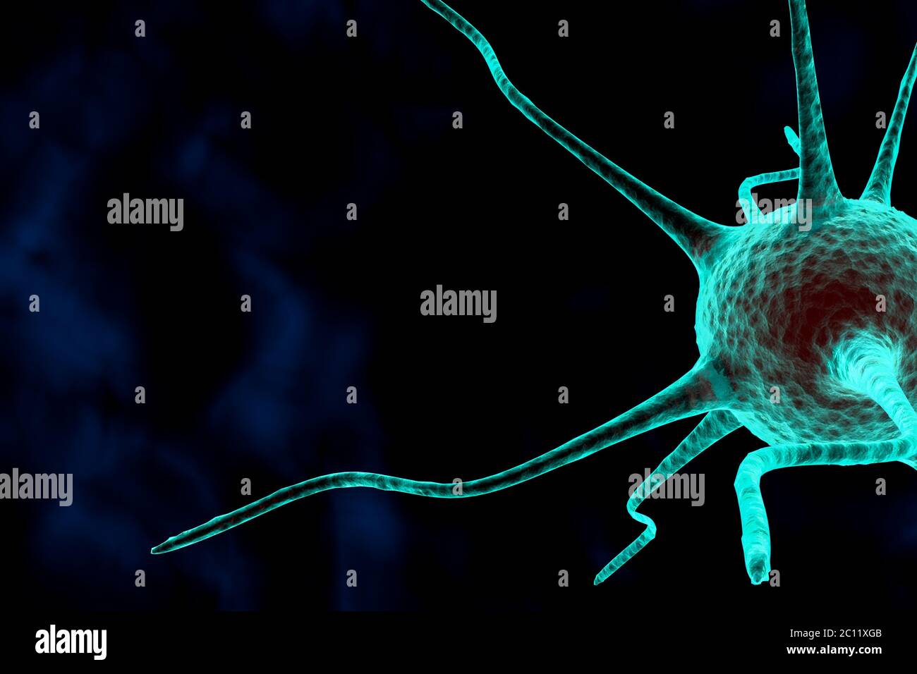 3d nerve cell Stock Photo - Alamy