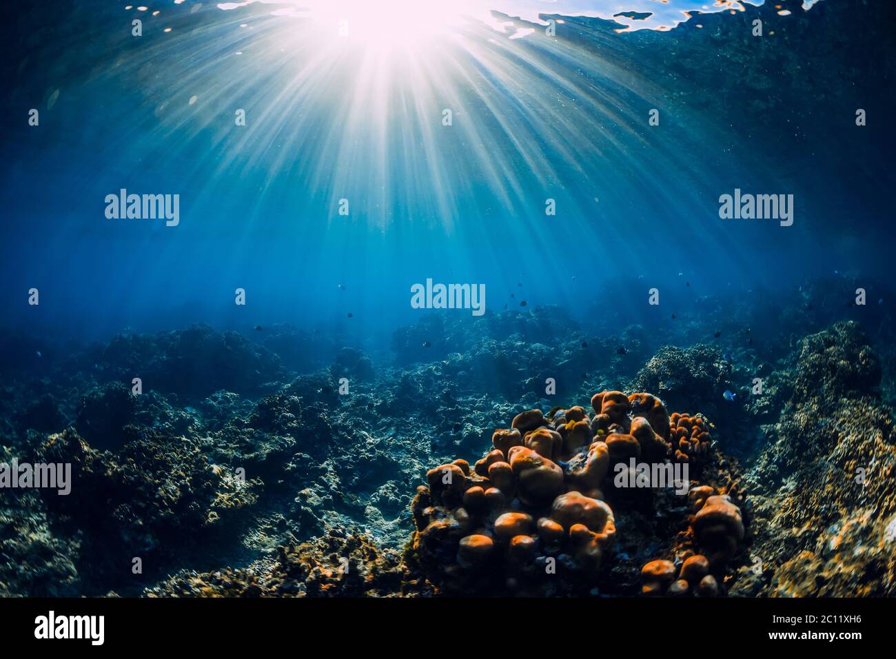 Underwater scene with corals, rocks and sun rays. Tropical blue ocean ...
