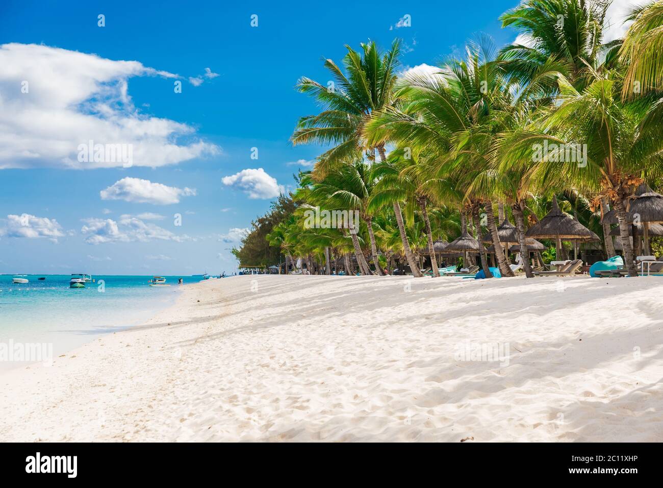 Luxury beach in Mauritius. Sandy beach with palms and blue ocean Stock ...