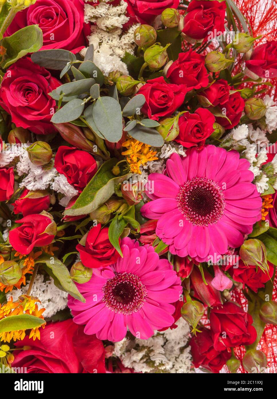 Abstract background of flowers. Close-up Stock Photo - Alamy