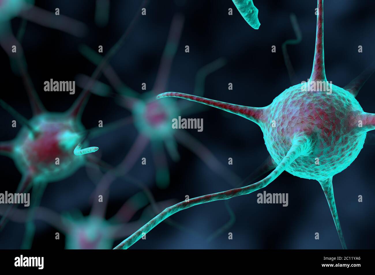 3d nerve cell Stock Photo - Alamy