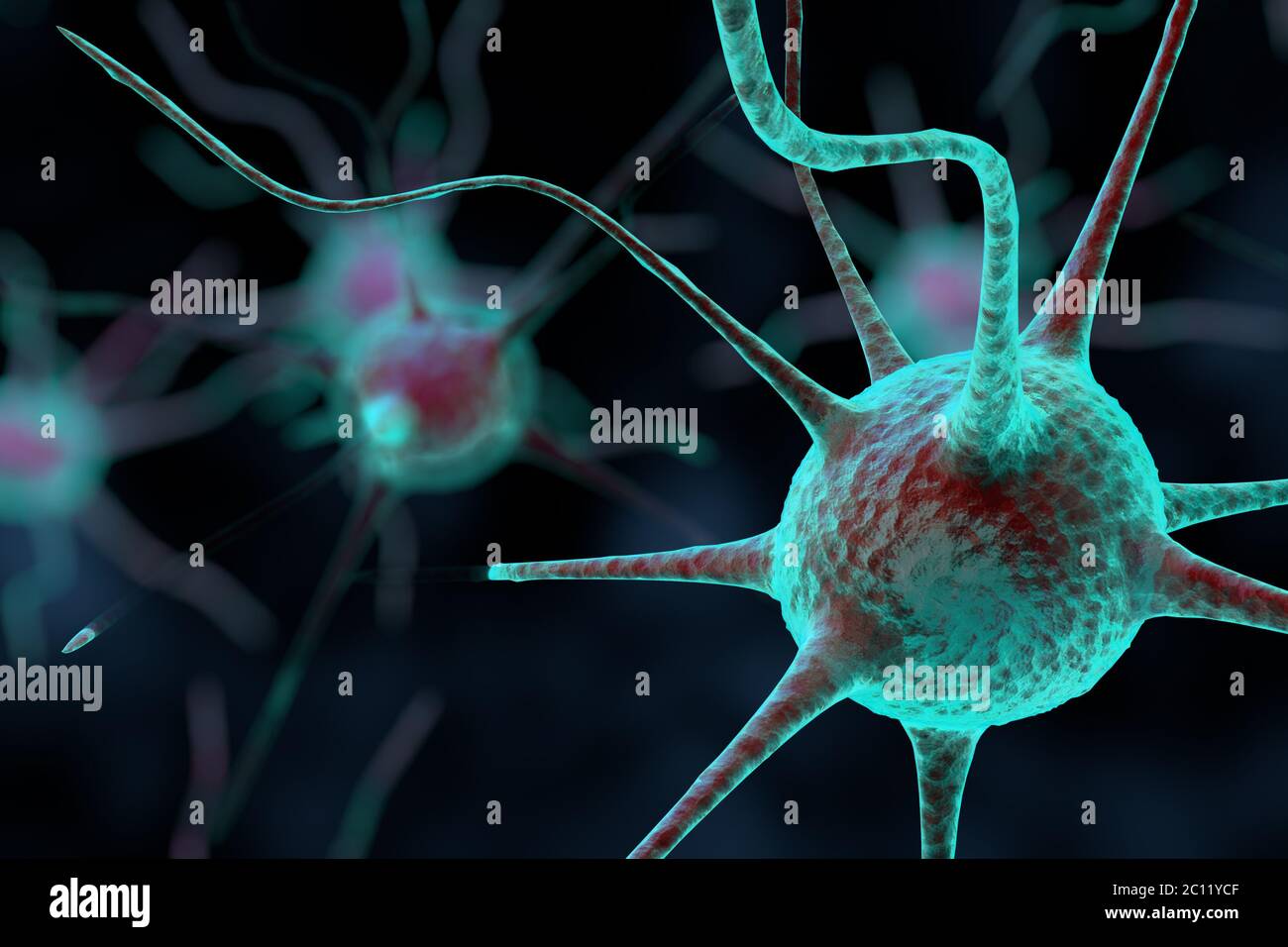 3d nerve cell Stock Photo - Alamy