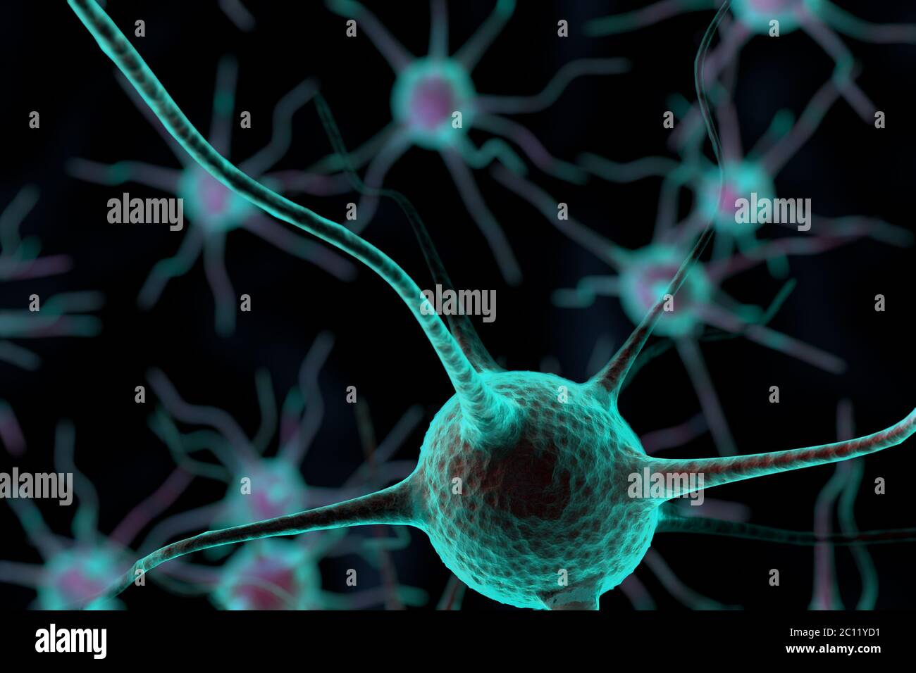3d nerve cell Stock Photo - Alamy