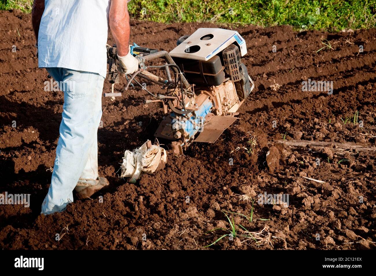 Farmer who works the land with the tiller hi-res stock photography and ...