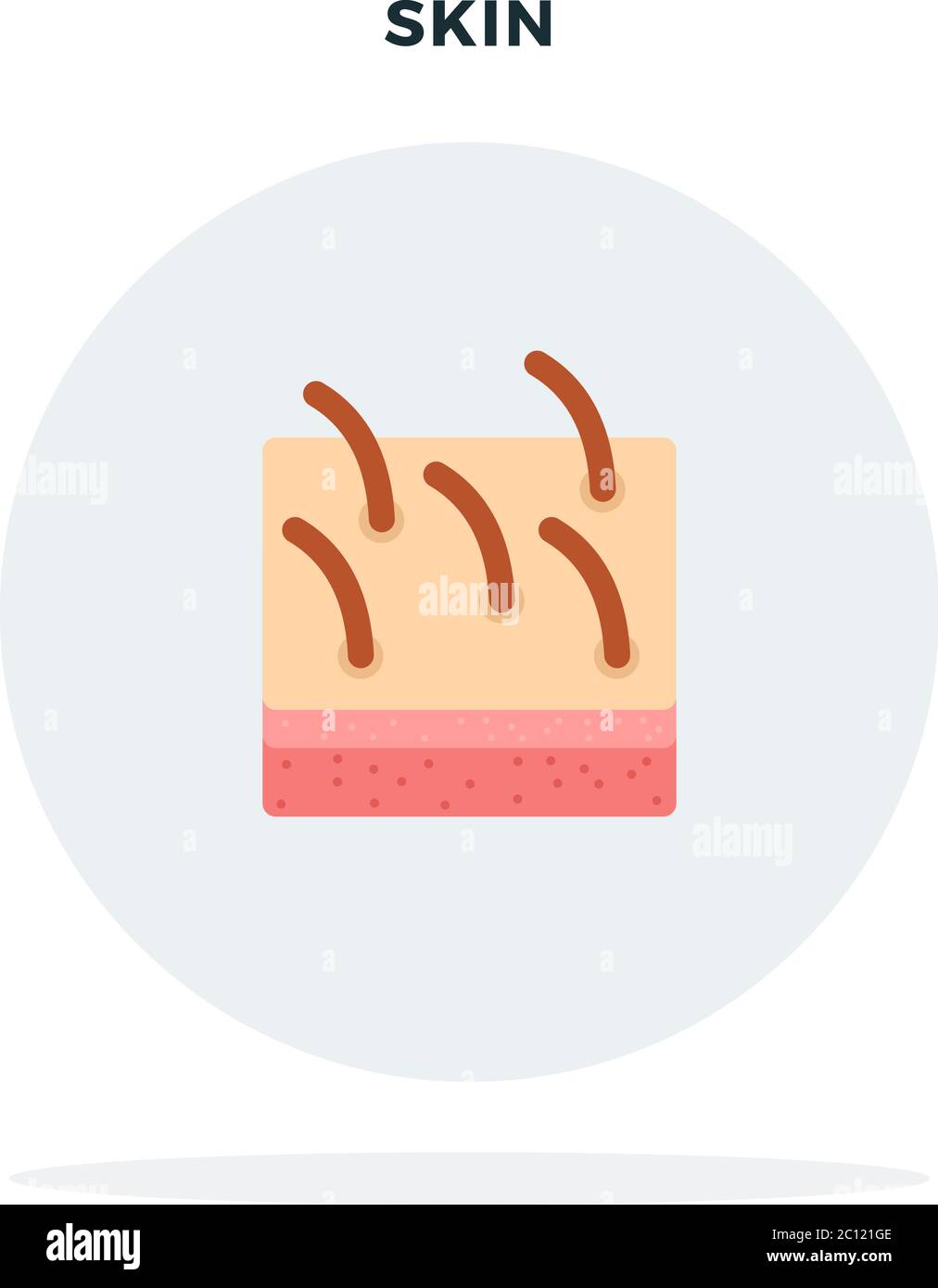 Skin cross section sweat hi-res stock photography and images - Alamy