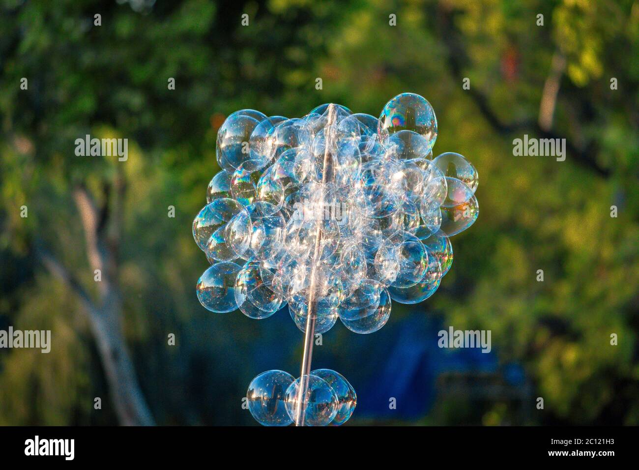 Rajpath road from India Gate war memorial to Rashtrapati Bhavan. Most ...