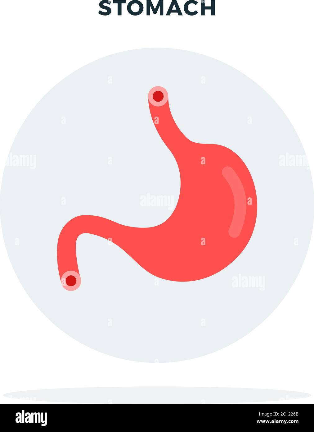 Colored human stomach flat vector Stock Vector Image & Art - Alamy