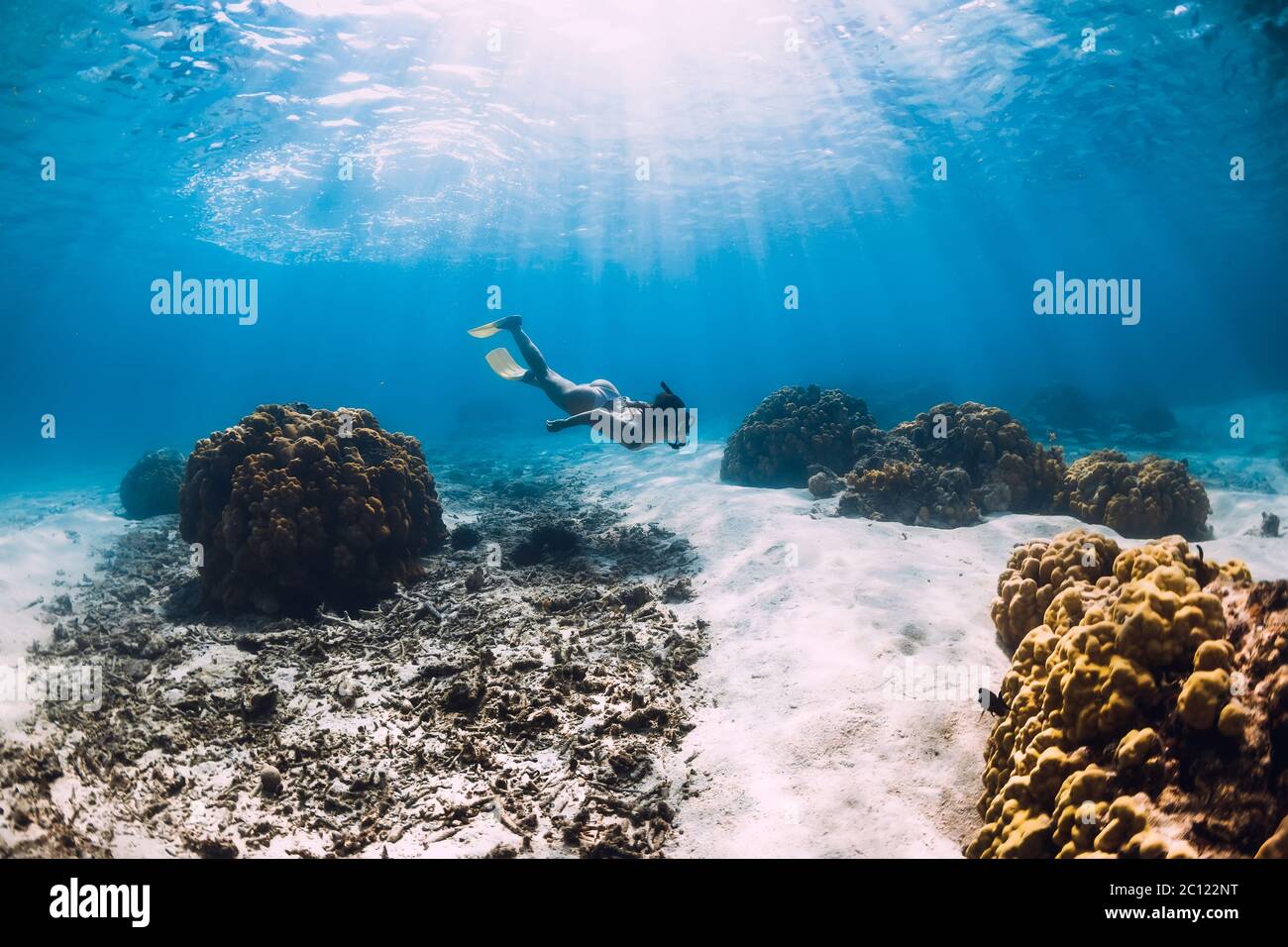 Freedive girl hi-res stock photography and images - Alamy