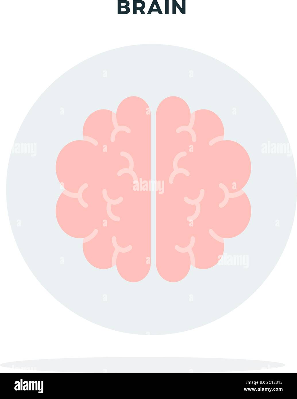 Structure human brain side Cut Out Stock Images & Pictures - Alamy
