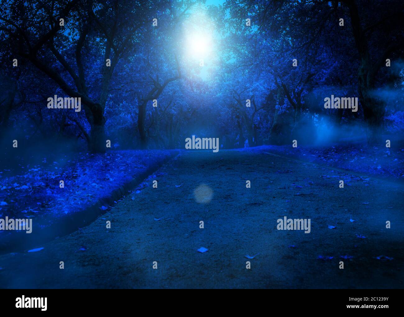 Abstract blue apple trees in the night park background Stock Photo - Alamy