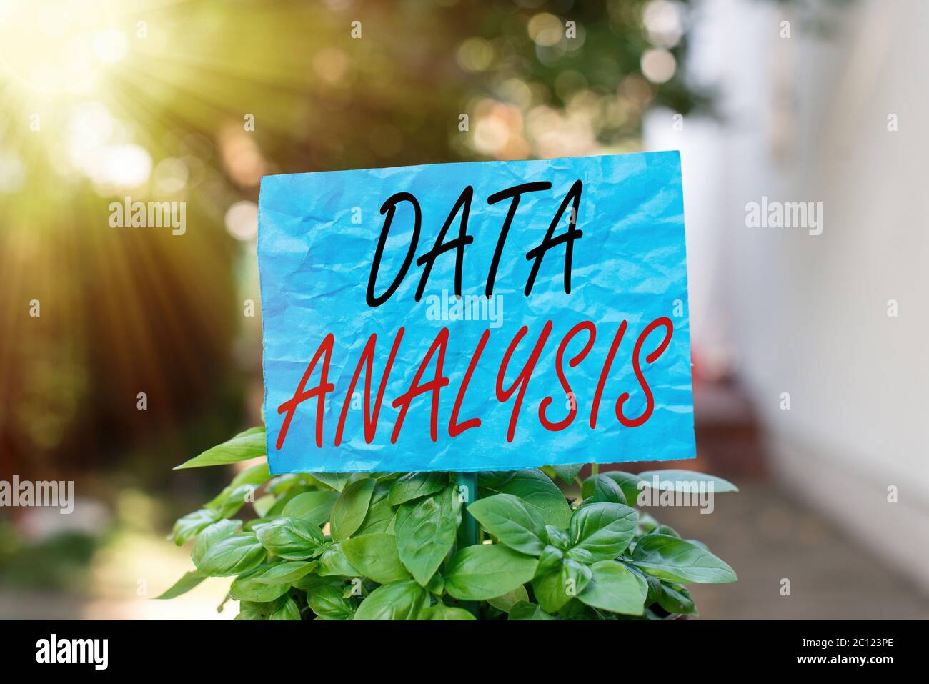 Conceptual hand writing showing Data Analysis. Concept meaning Business ...