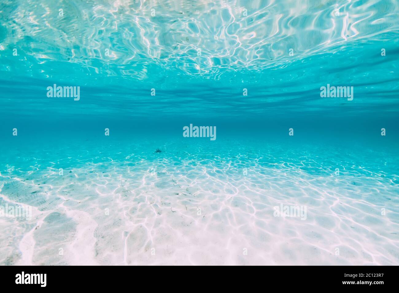 Tropical transparent ocean with white sand and water reflection ...