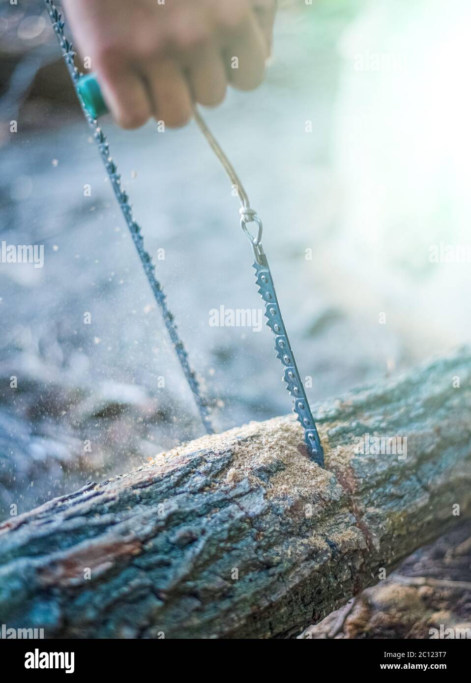 In motion. Blurred. The chain saw is manual. The process of sawing wood ...