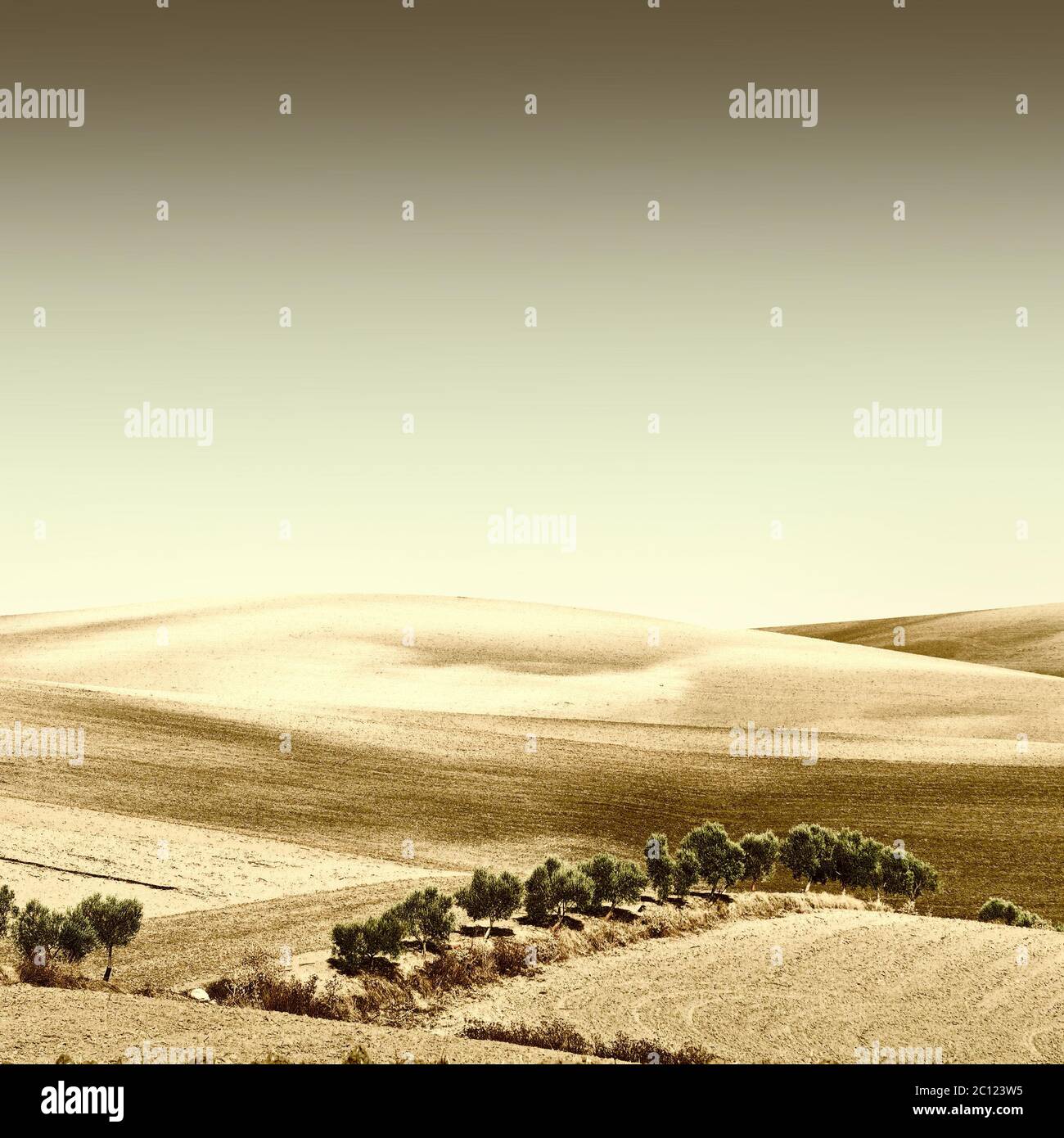 Sloping arable land hi-res stock photography and images - Alamy