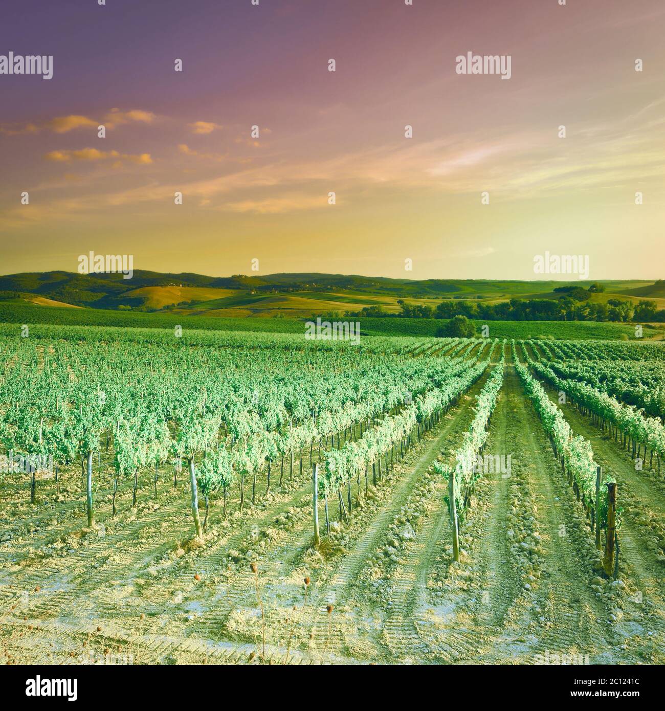 Tuscany su hi-res stock photography and images - Alamy