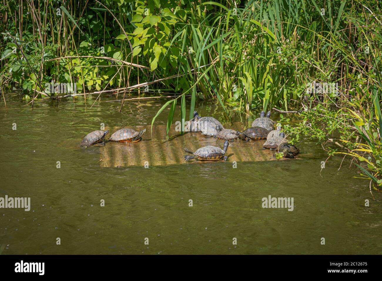 Gennevilliers park hi-res stock photography and images - Alamy