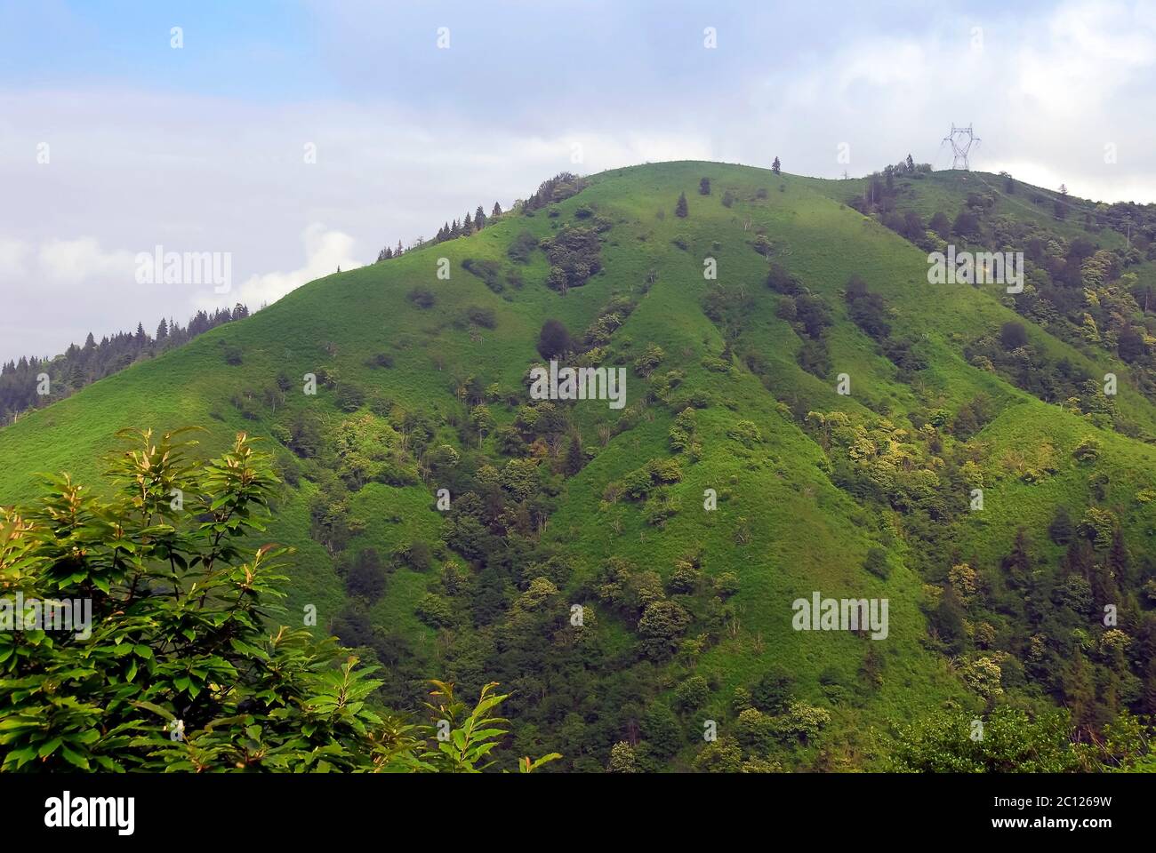Surmene trabzon turkey hi-res stock photography and images - Alamy