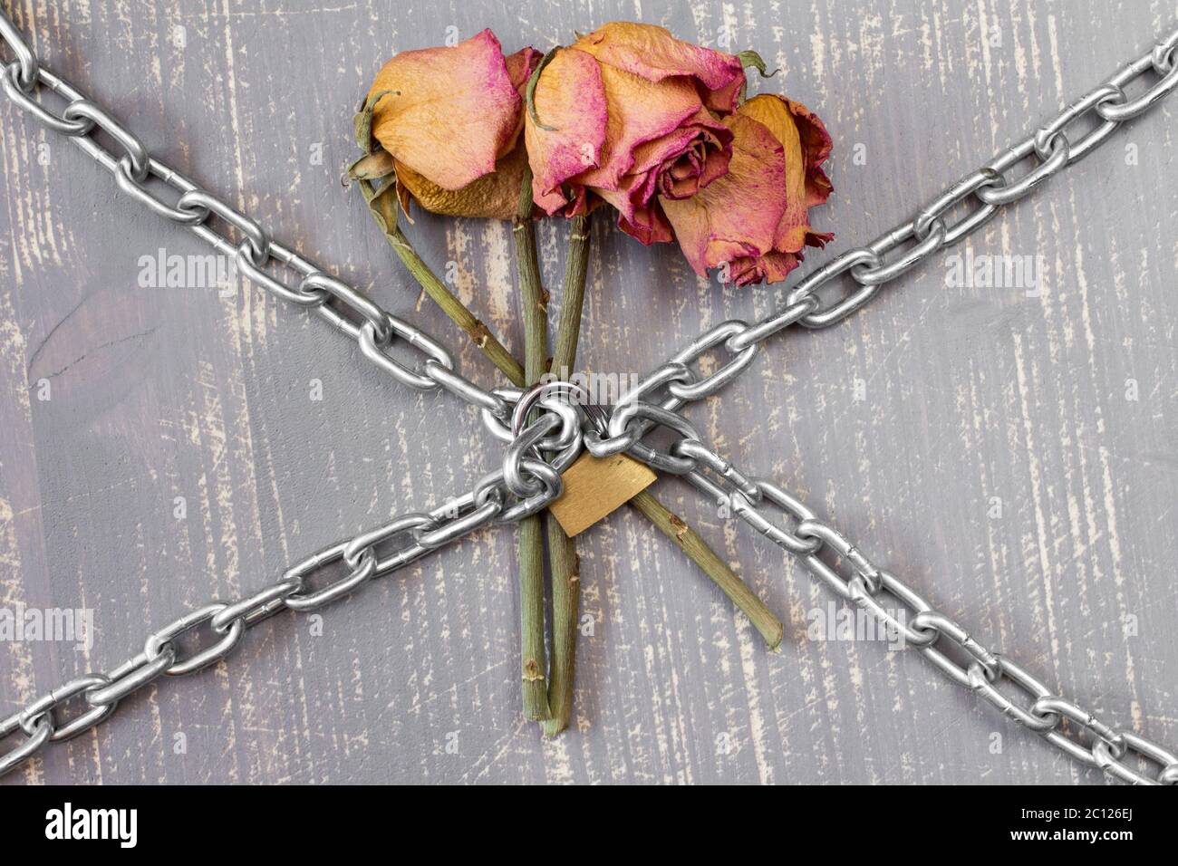 Chain roses hi-res stock photography and images - Alamy