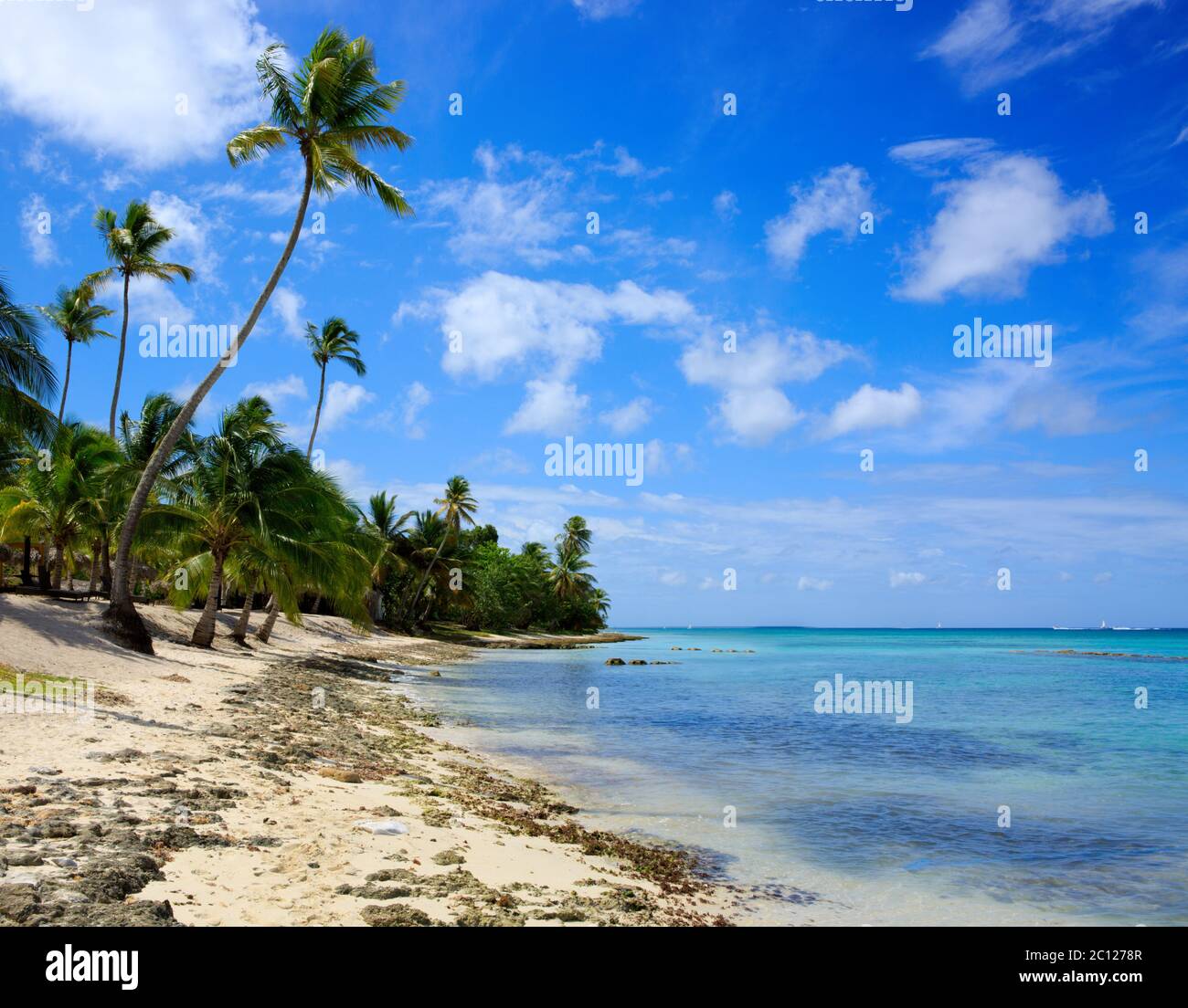 Caribbean sea and palms Stock Photo - Alamy