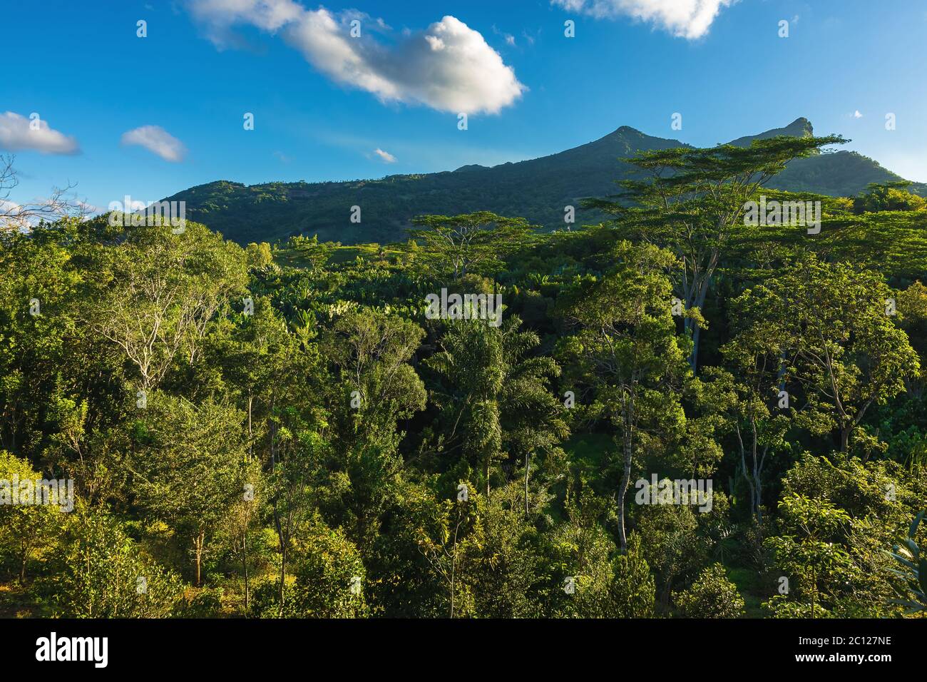 Hiking in mauritius hi-res stock photography and images - Alamy