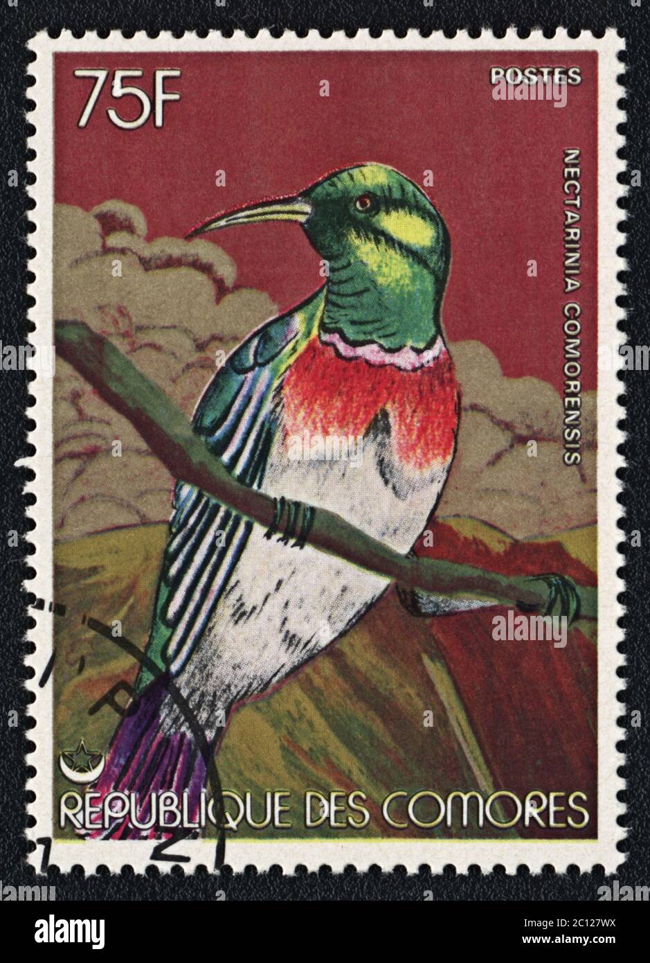 Sunbird. Nectarina Comorensis. Postage stamp, Comoros Stock Photo - Alamy