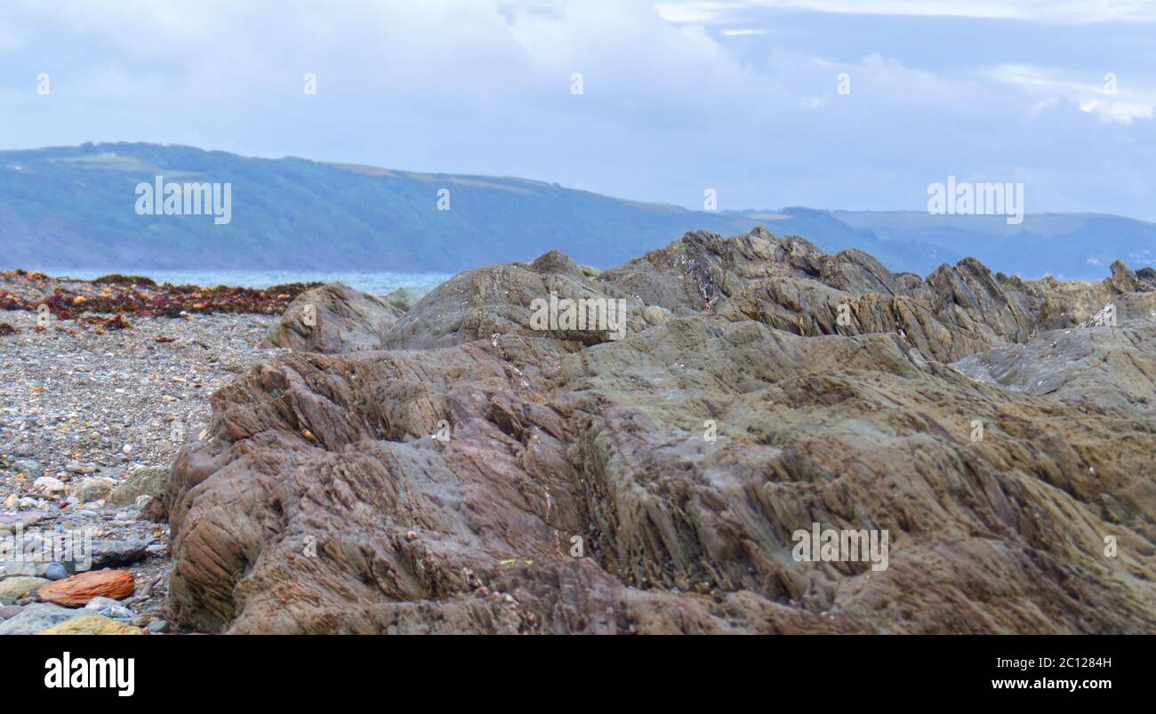 Beach pebbles rocks shells hi-res stock photography and images - Alamy
