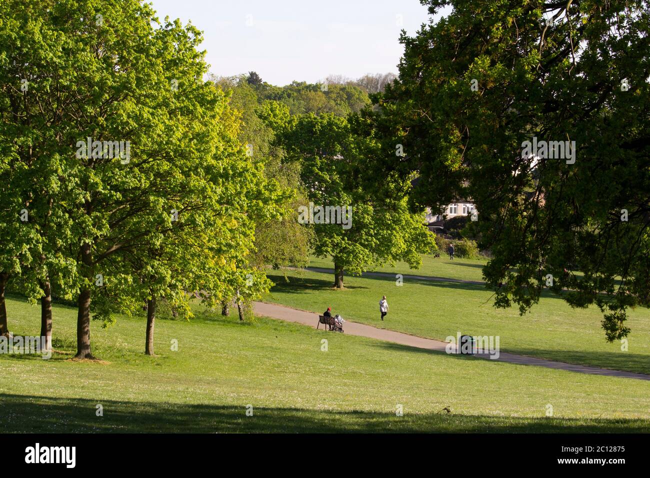 The HIghams Park, Highams Park London, green space on suburbs of London ...