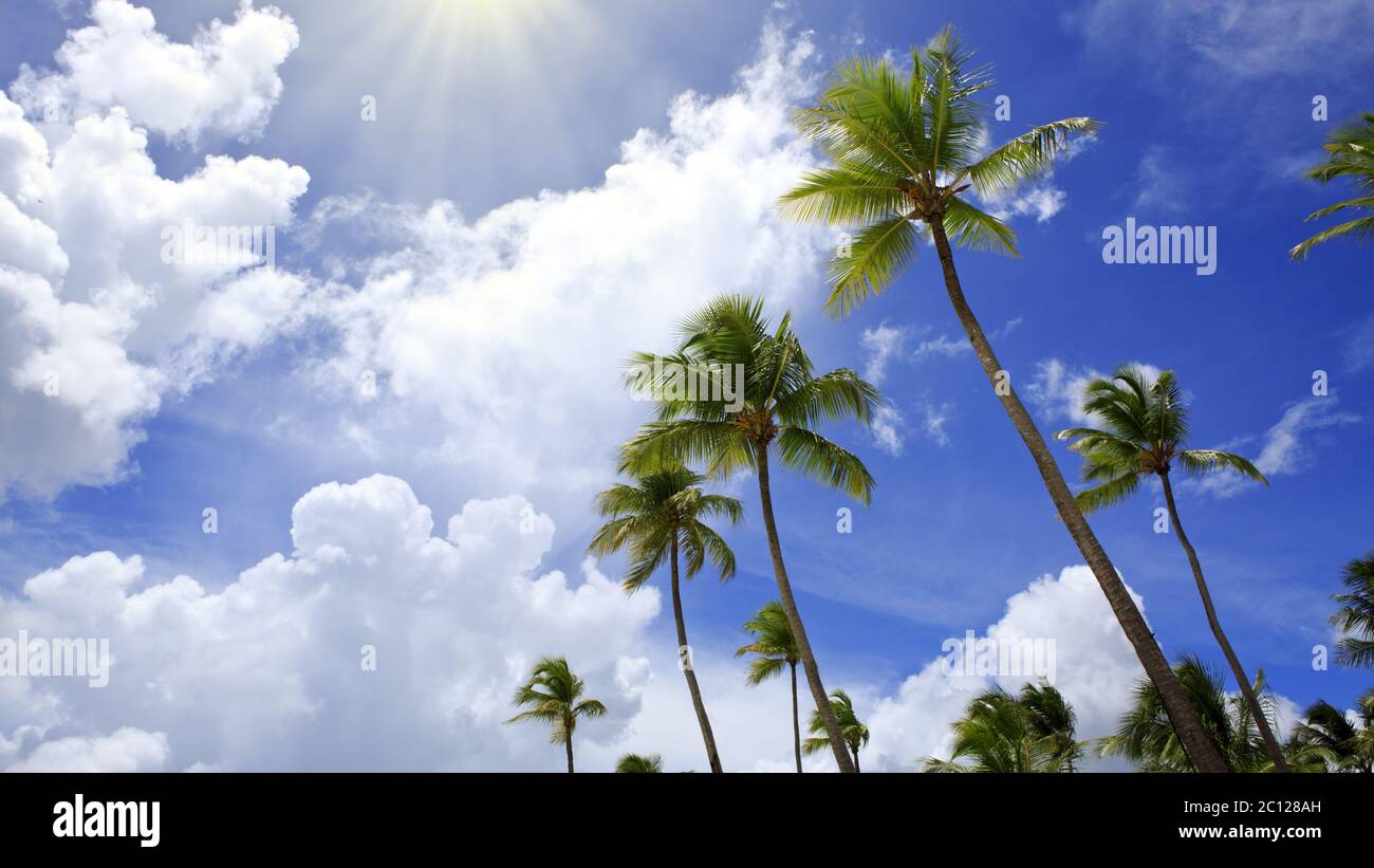 Tropical sun hi-res stock photography and images - Alamy