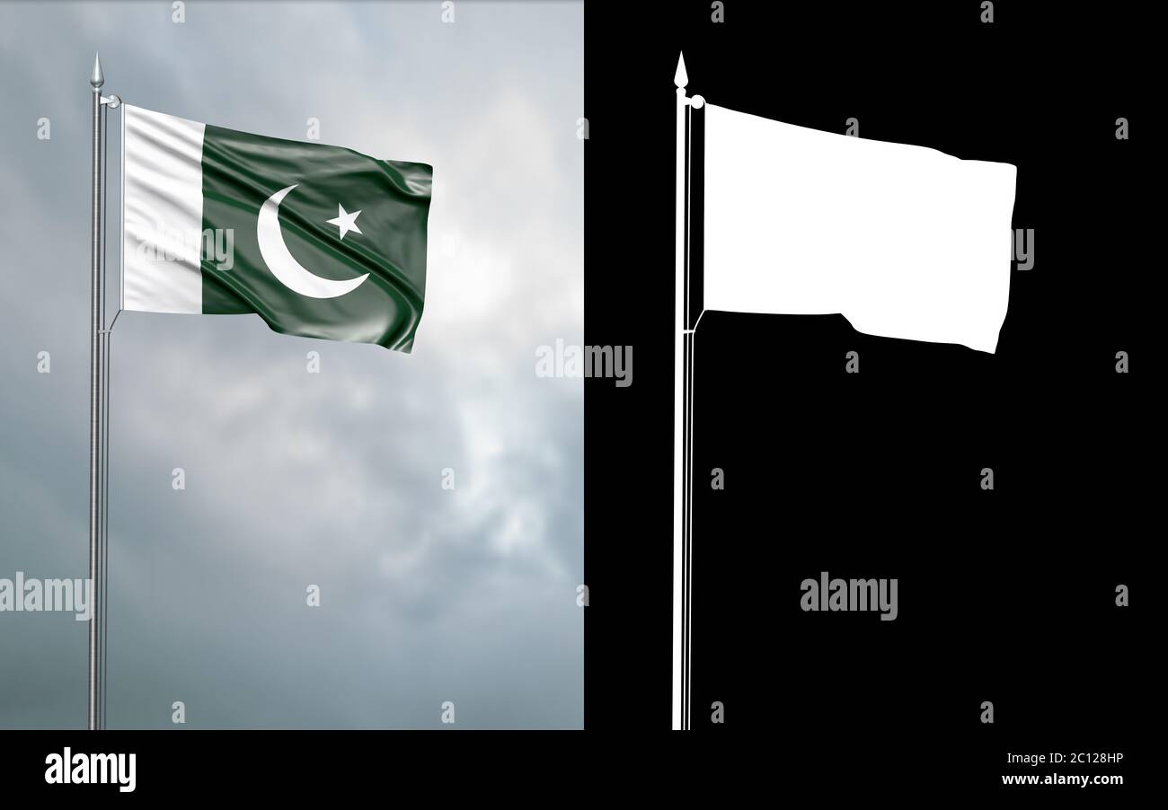 3d illustration of the state flag of the Islamic Republic of Pakistan ...