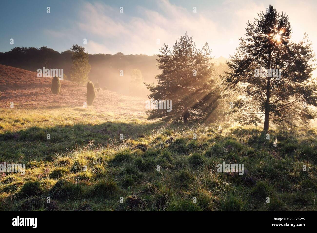 Misty hills hi-res stock photography and images - Alamy