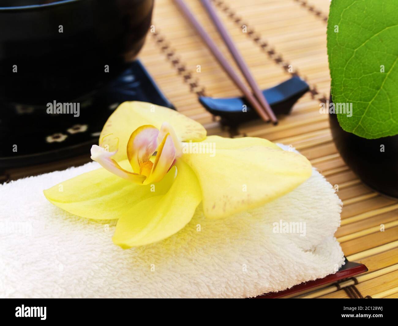 Orchid sticks hi-res stock photography and images - Alamy