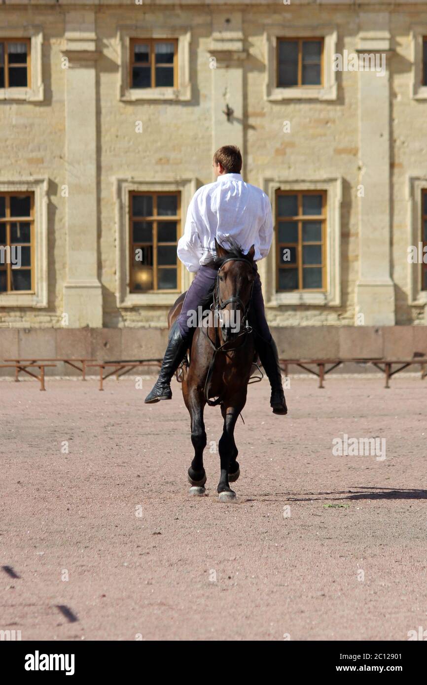 trick riding to men at bay stallion who jumps a trot on the sand square ...