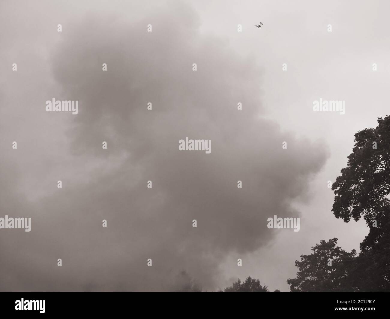 smoke from a fire in the forest. texture Stock Photo - Alamy