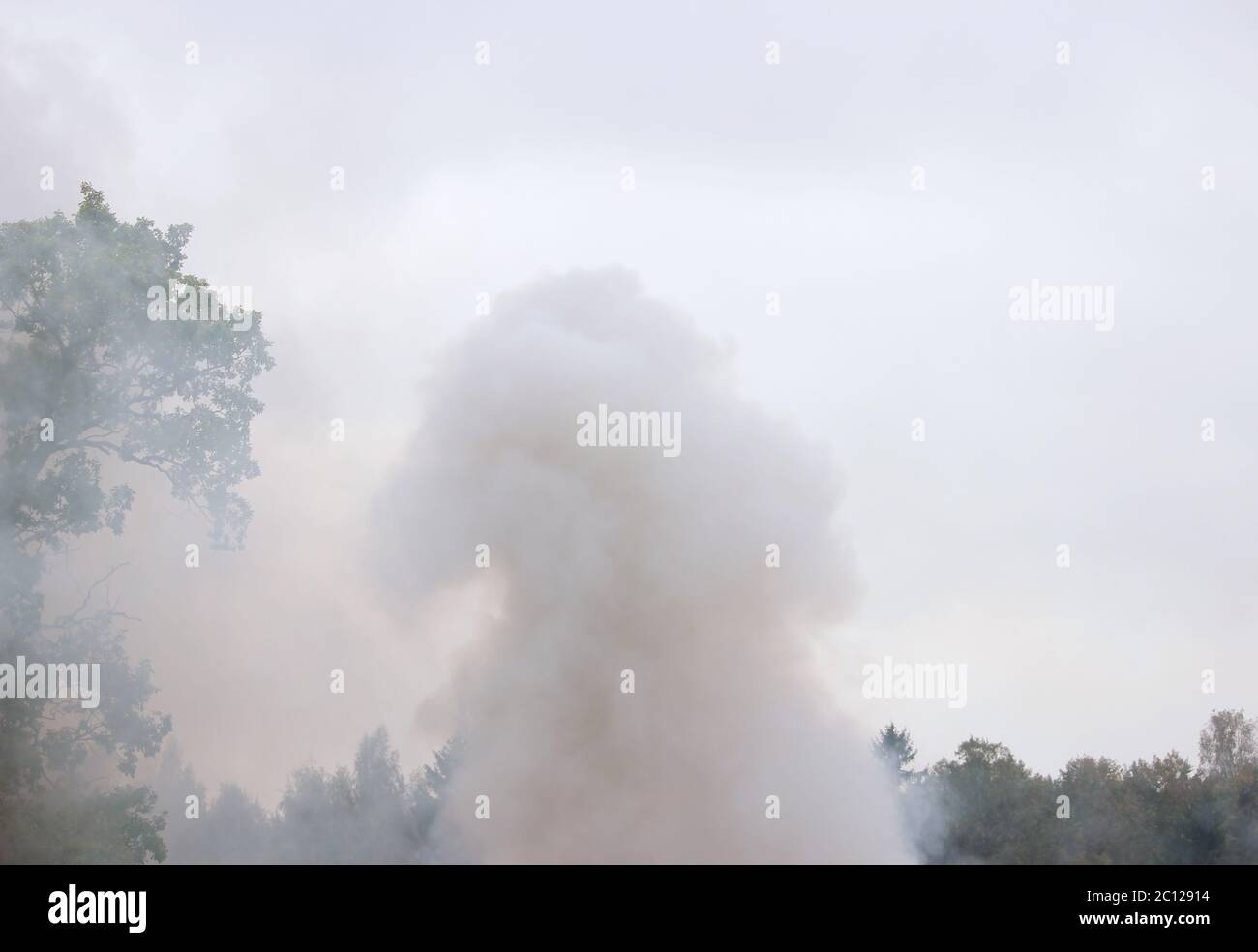 smoke from a fire in the forest. texture Stock Photo - Alamy