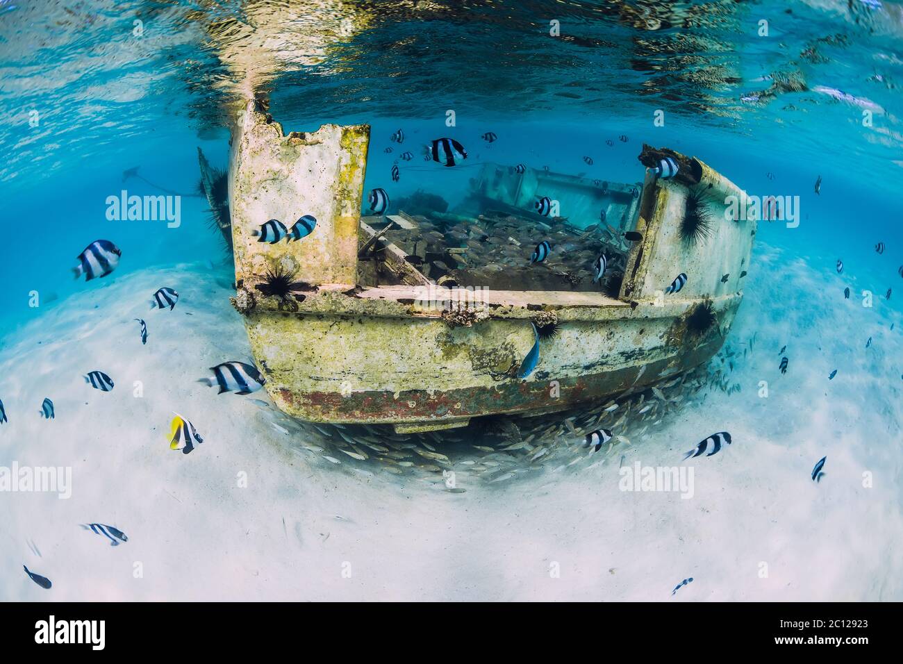 Ocean scene with wreck of boat at sandy bottom and school of tropical ...