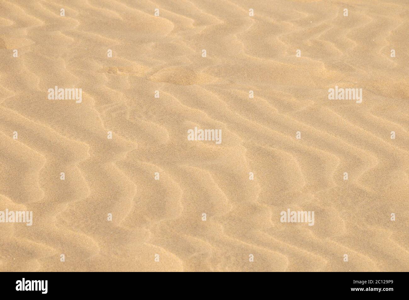 Sand Dune Desert Texture Stock Photo - Alamy