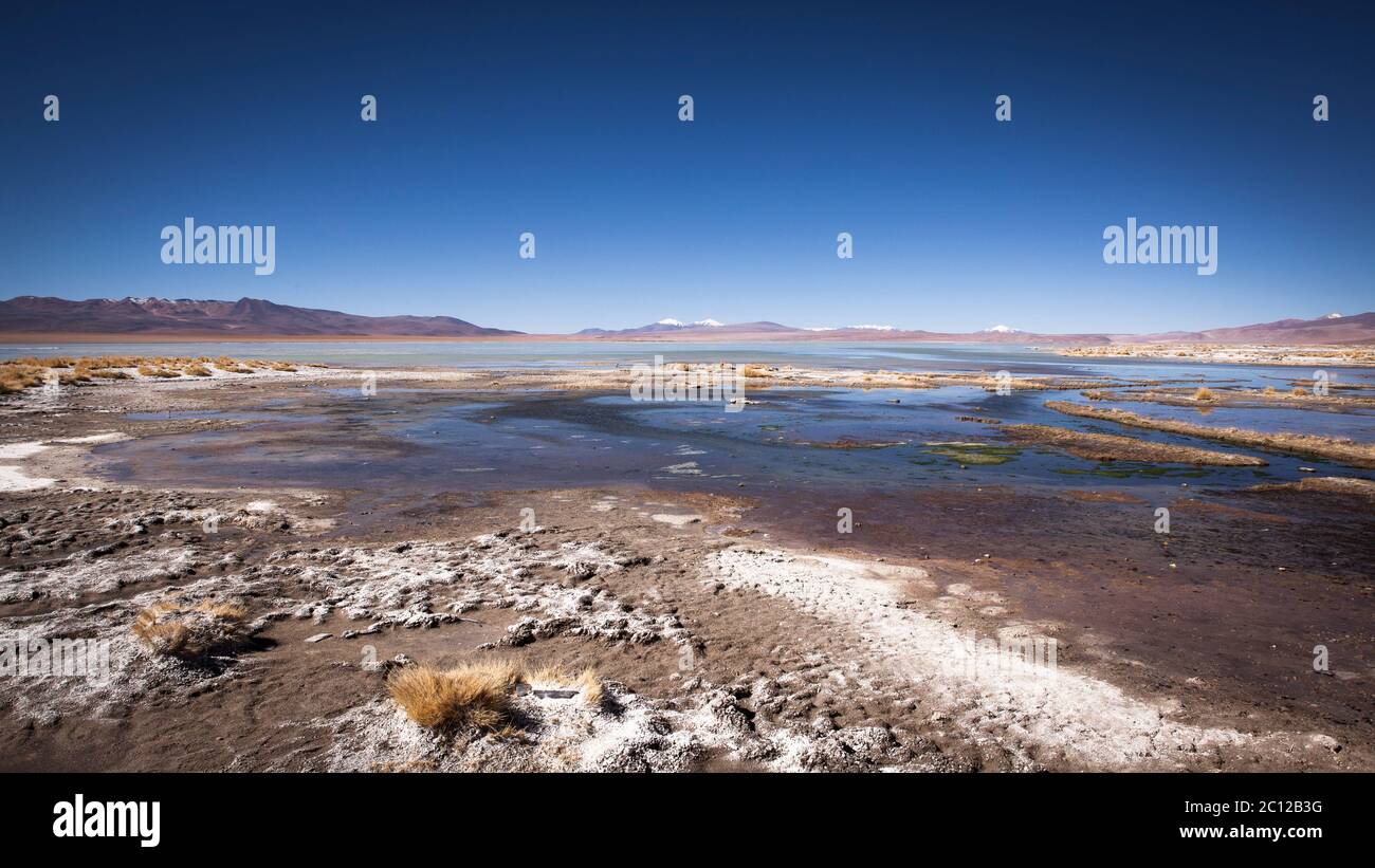 Lipez and Uyuni Landscape, Bolivia Stock Photo - Alamy