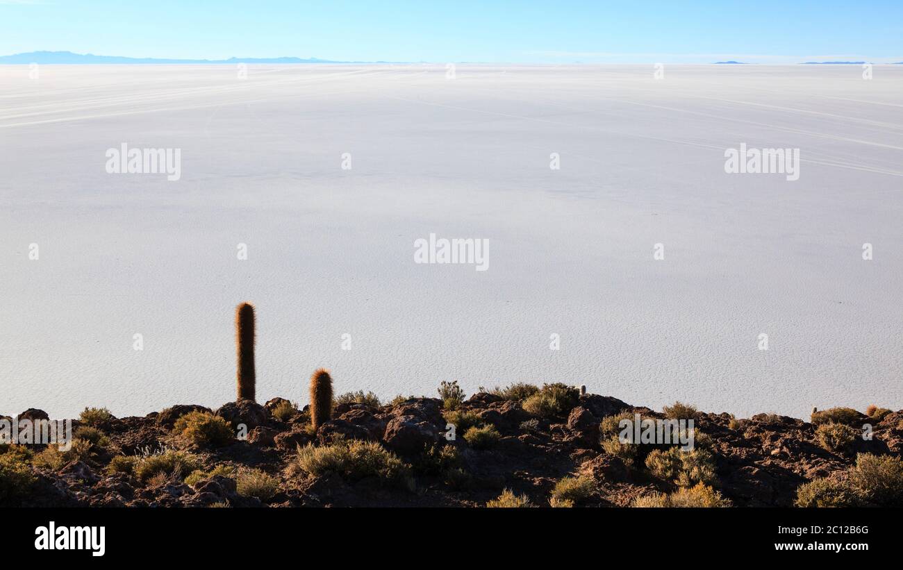 Lipez and Uyuni Landscape, Bolivia Stock Photo - Alamy