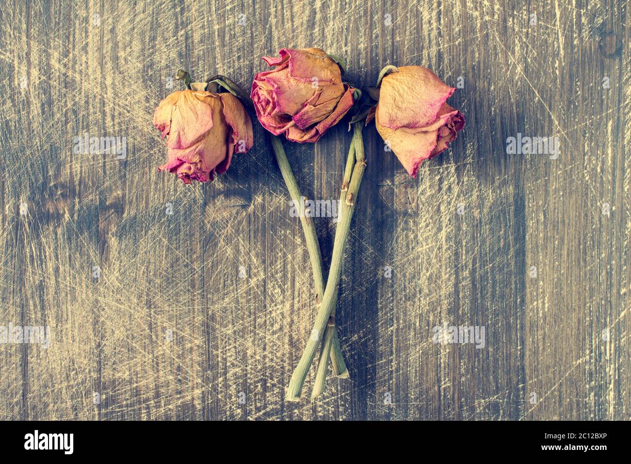 Three dry roses Stock Photo - Alamy