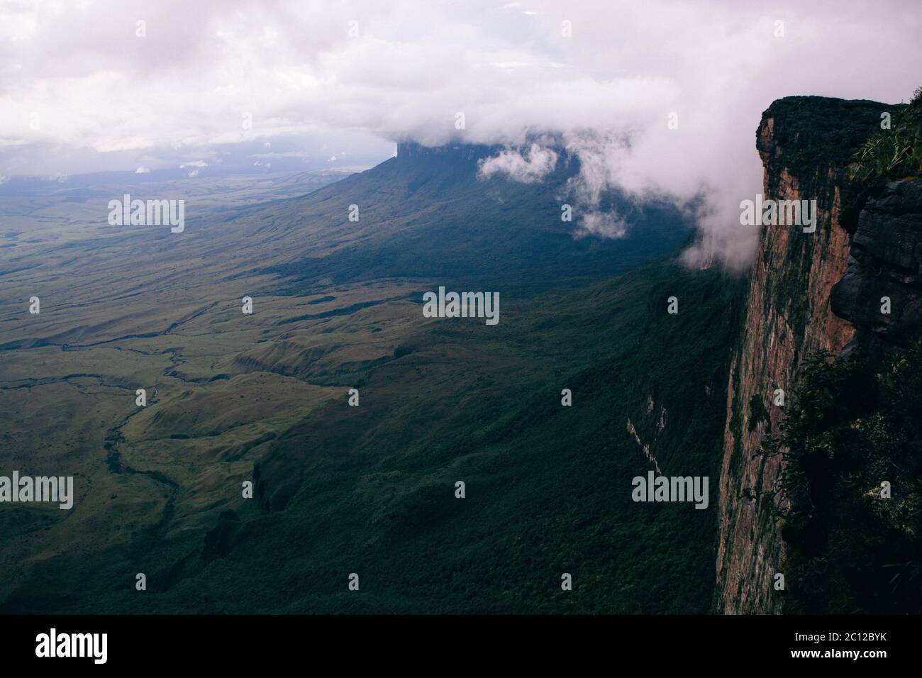 Mount Roraima, Venezuela Stock Photo - Alamy