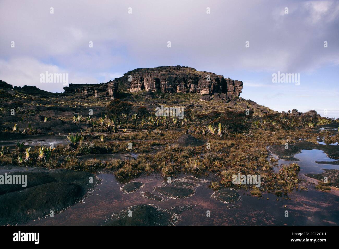 Mount Roraima, Venezuela Stock Photo - Alamy