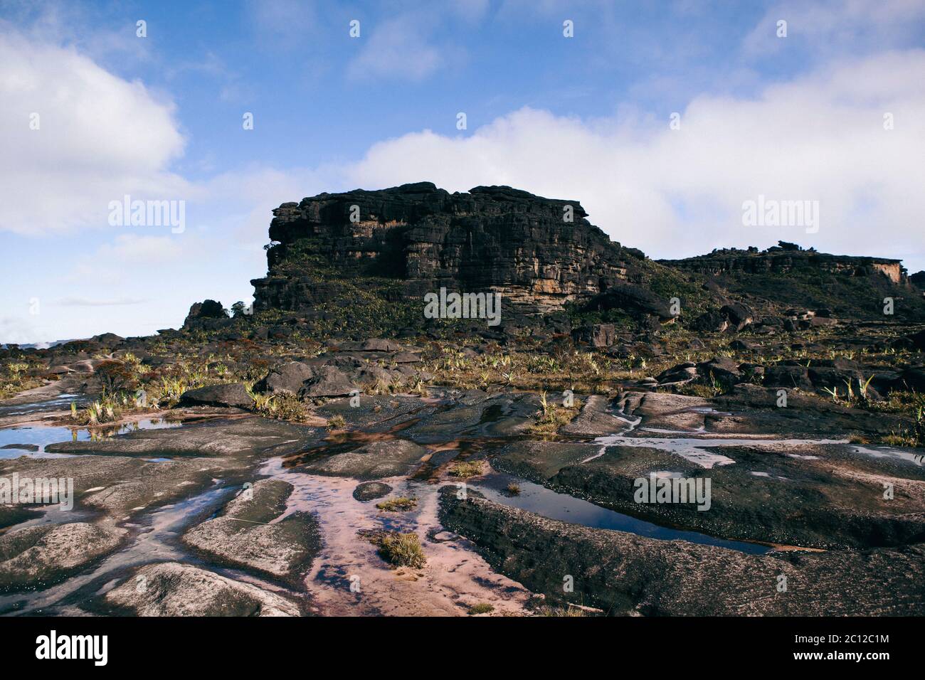 Mount Roraima, Venezuela Stock Photo - Alamy