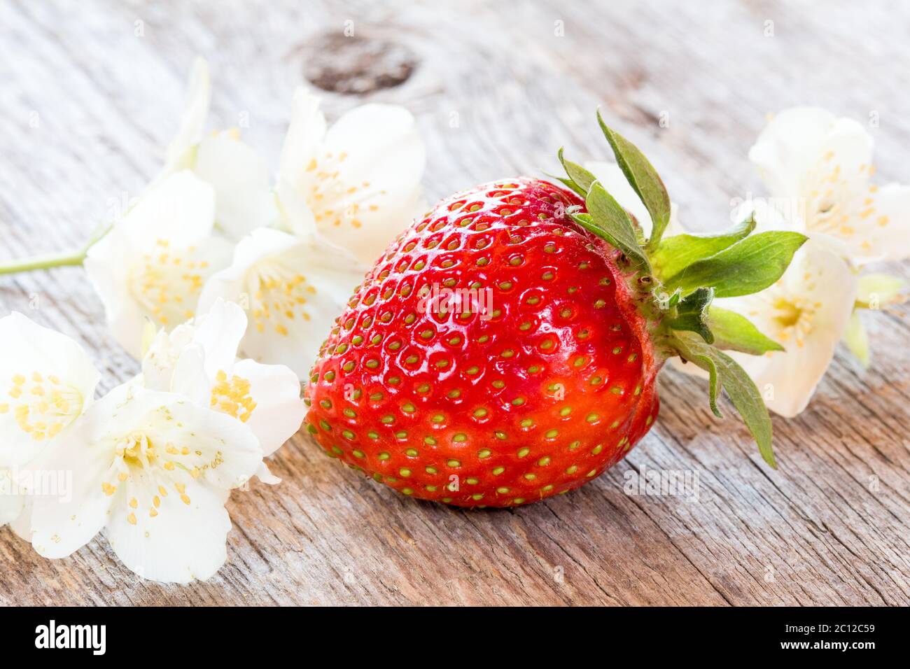 Red and white strawberry flowers hi-res stock photography and images ...