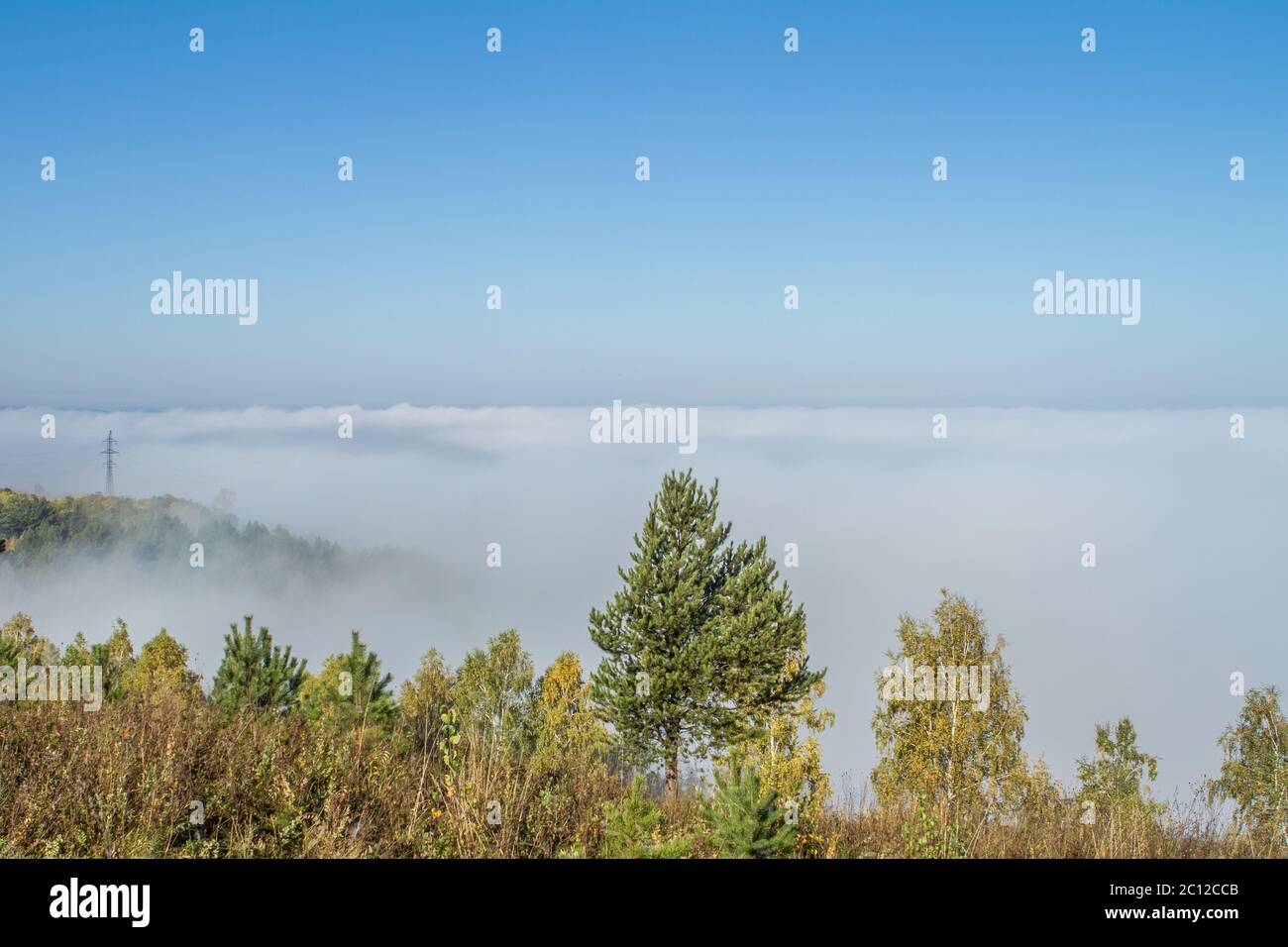 Single tree in misty sunrise hi-res stock photography and images - Alamy