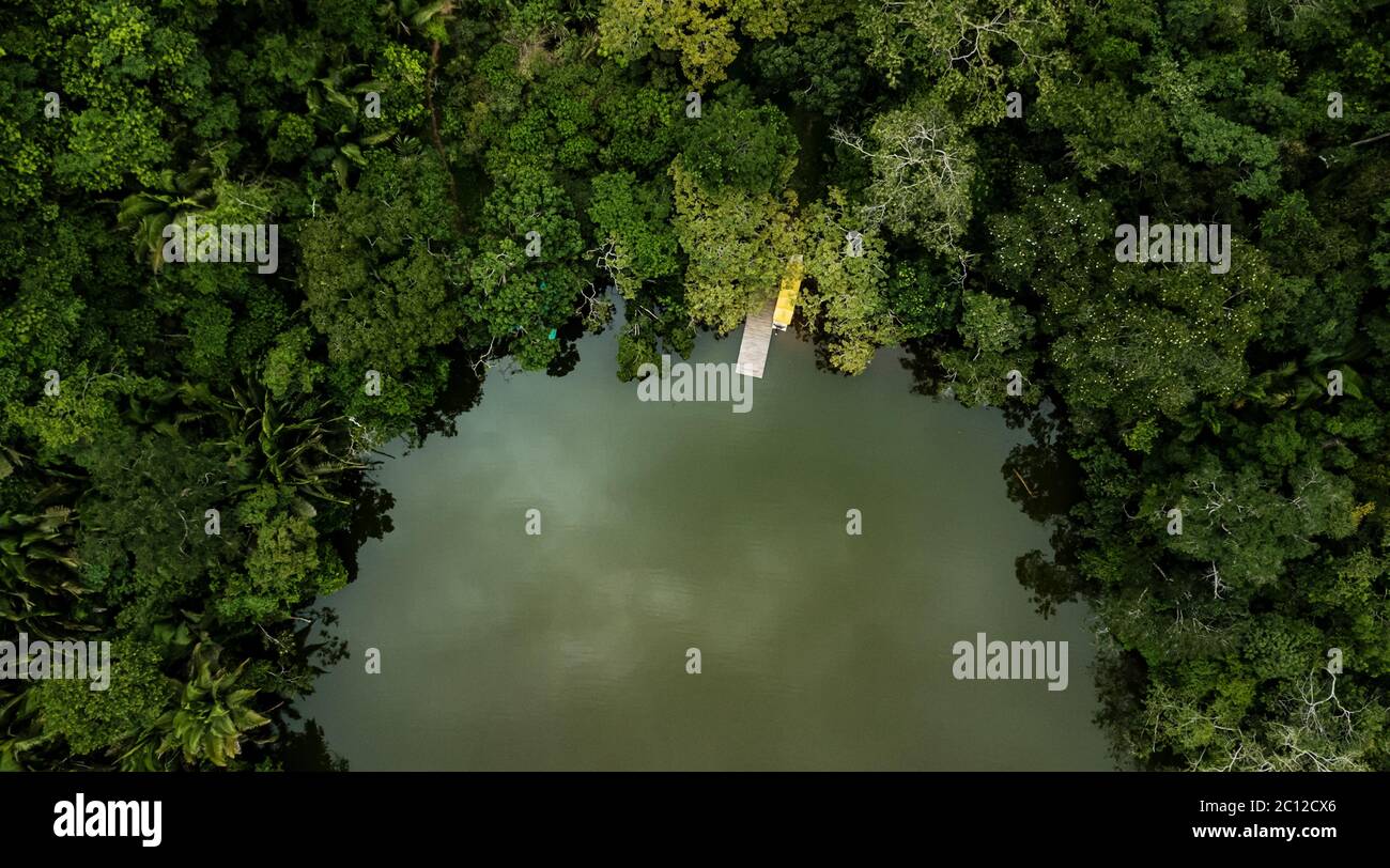 Aerial view on a lake surrounded by tropical amazon rainforest with a ...