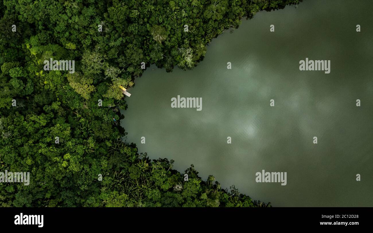Aerial view on a lake surrounded by tropical amazon rainforest with a ...