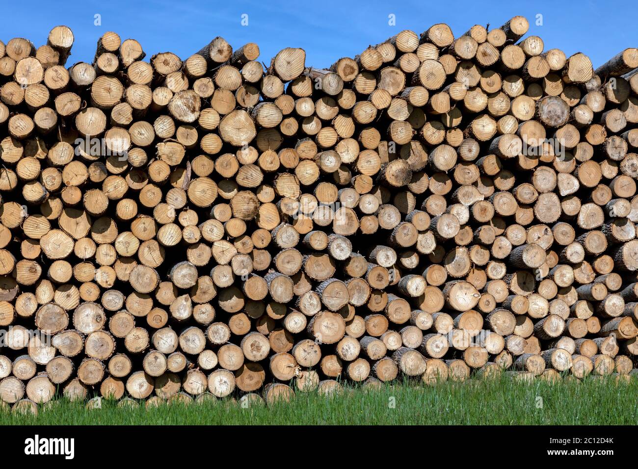 Mass timber hi-res stock photography and images - Alamy